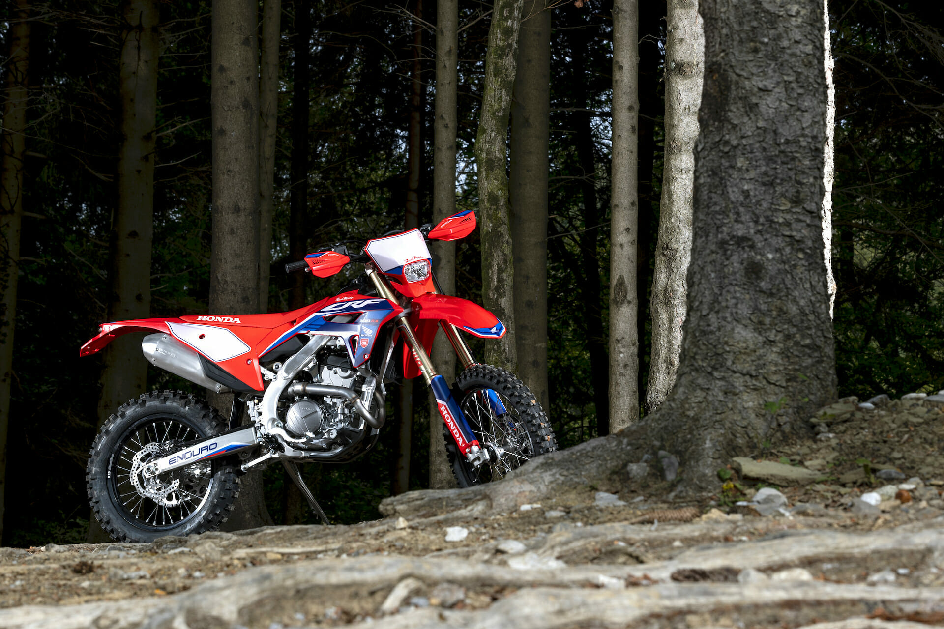 2023 Honda CRF-RX Enduro range - EICMA